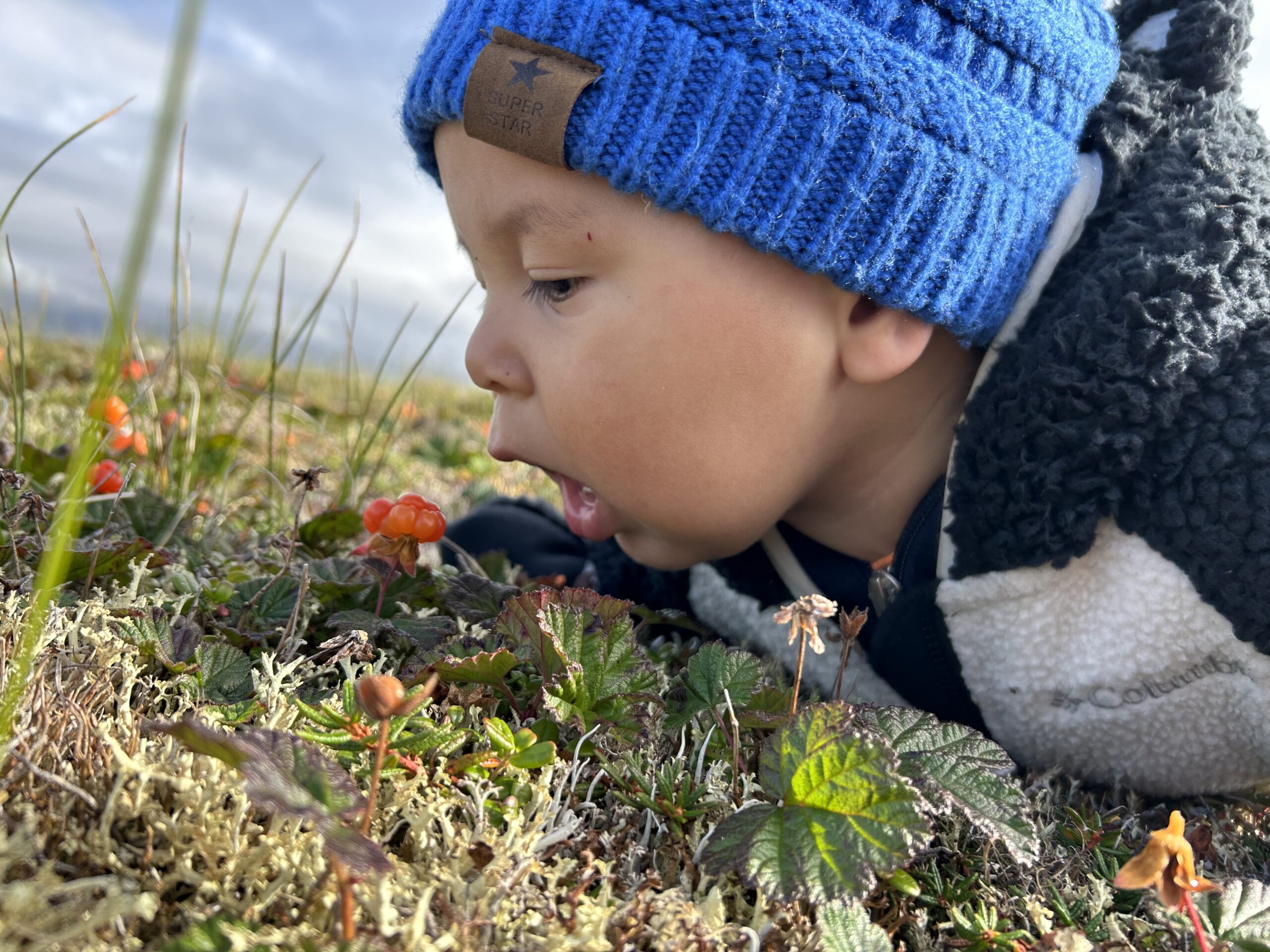 Alaska Federation of Natives | A Powerful Voice in Alaska